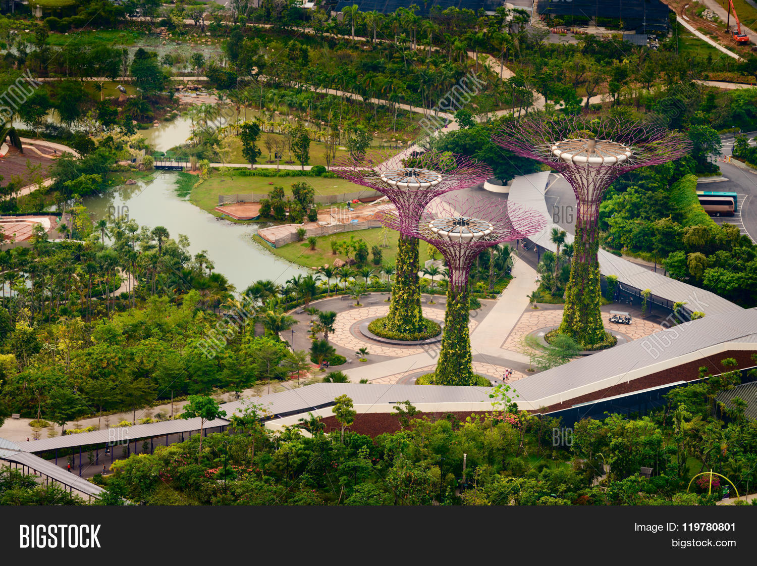 Super Trees Singapore Image & Photo (Free Trial) | Bigstock