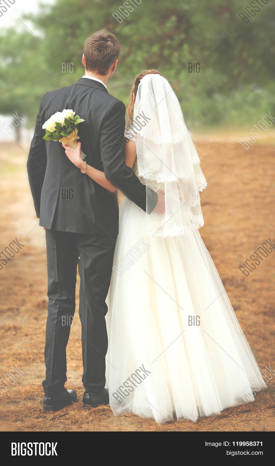 Beautiful Groom Bride Image & Photo (Free Trial) | Bigstock