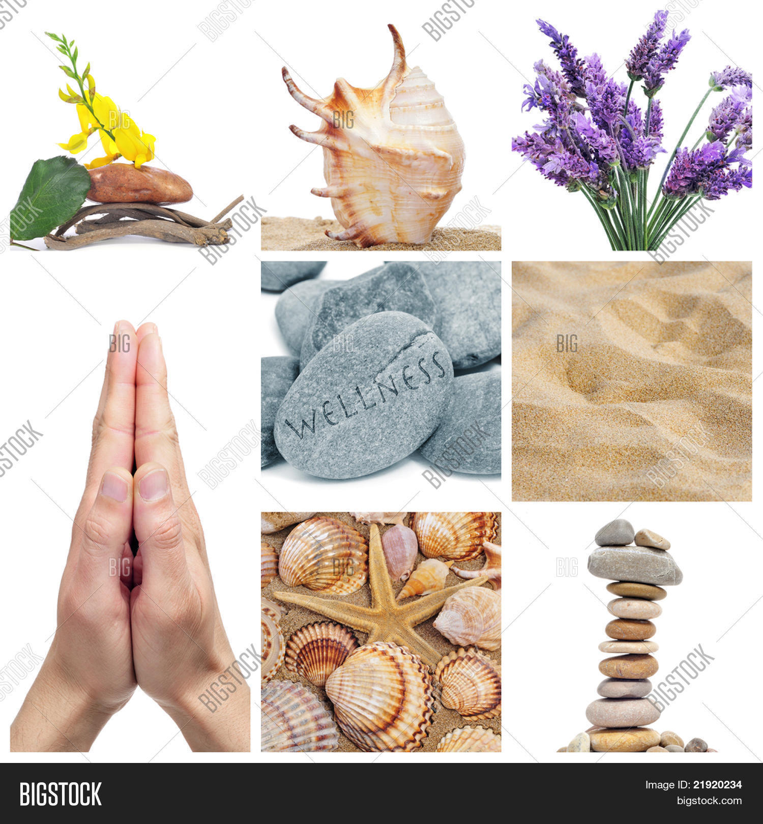 Collage Nine Pictures Image & Photo (Free Trial) | Bigstock