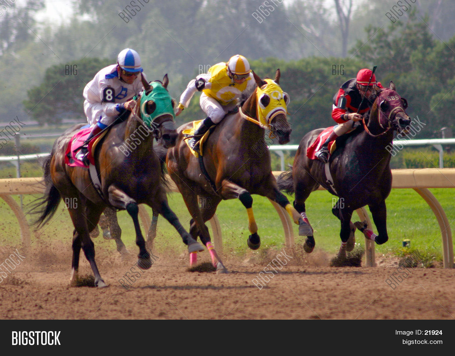 Horse Racing Image & Photo (Free Trial) | Bigstock