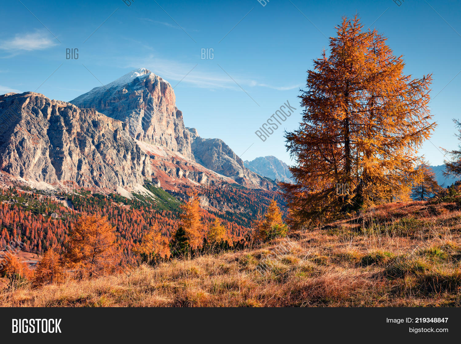 Splendid View Top Image & Photo (Free Trial) | Bigstock