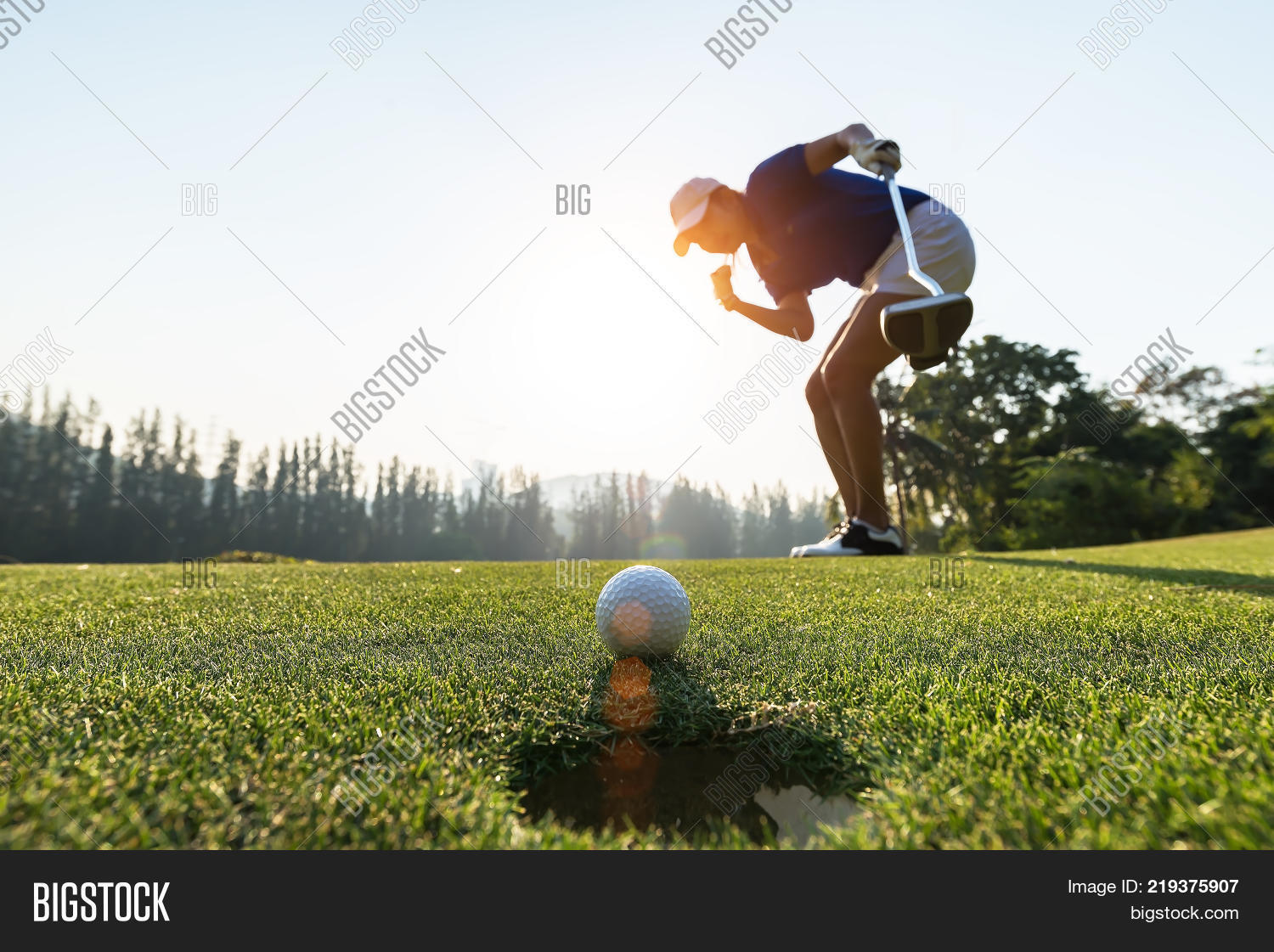 Golfer Action Win Image & Photo (Free Trial) | Bigstock