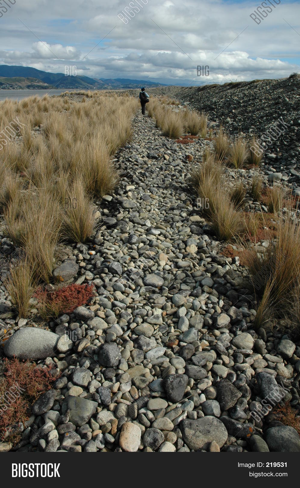Rock Path Image & Photo (Free Trial) | Bigstock