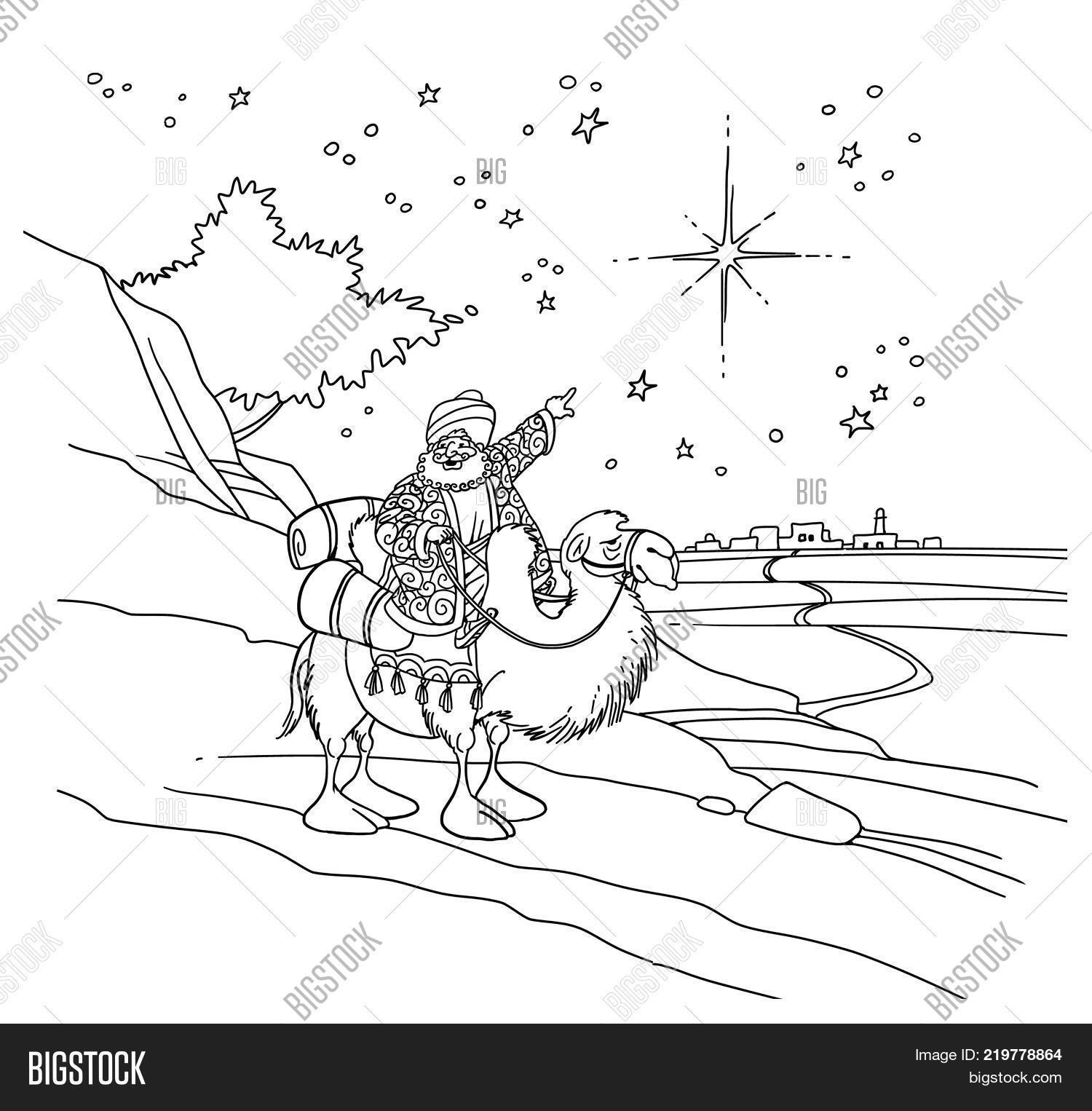 Sage On Camel Points Image & Photo (Free Trial) | Bigstock