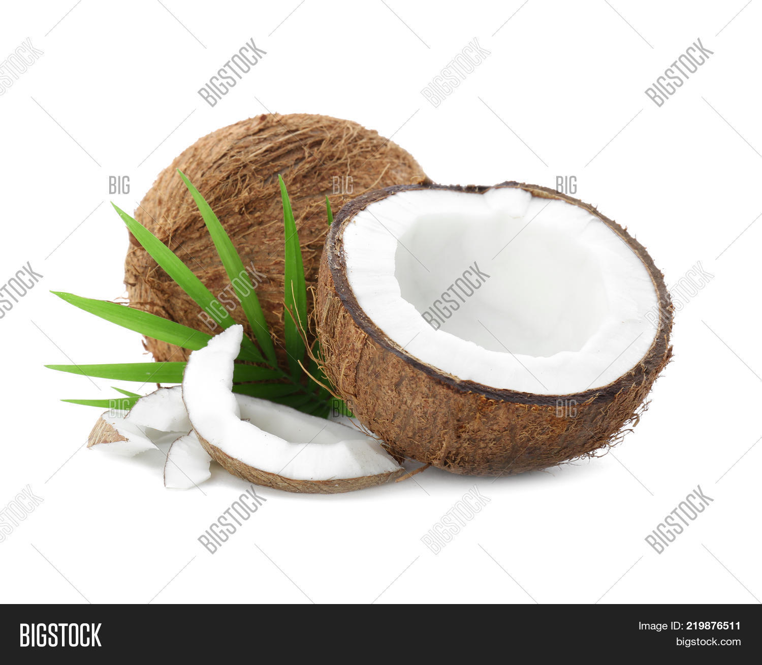 Ripe Coconuts On White Image & Photo (Free Trial) | Bigstock