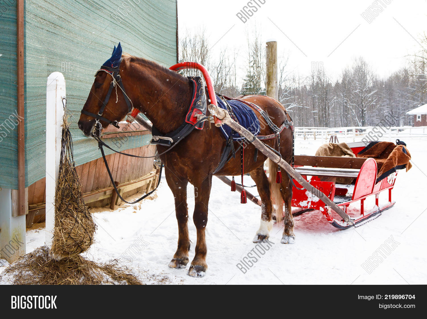 Winter Sleigh Rides Image & Photo (Free Trial) | Bigstock