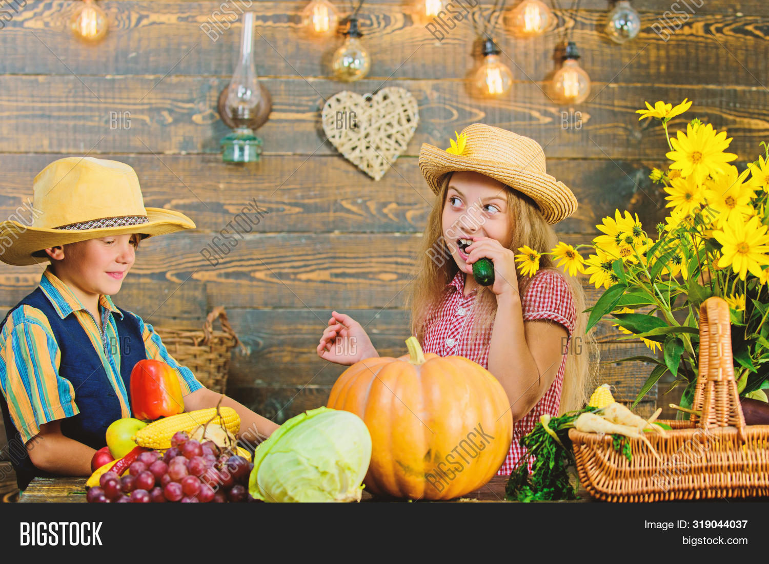 Elementary School Fall Image & Photo (Free Trial) | Bigstock
