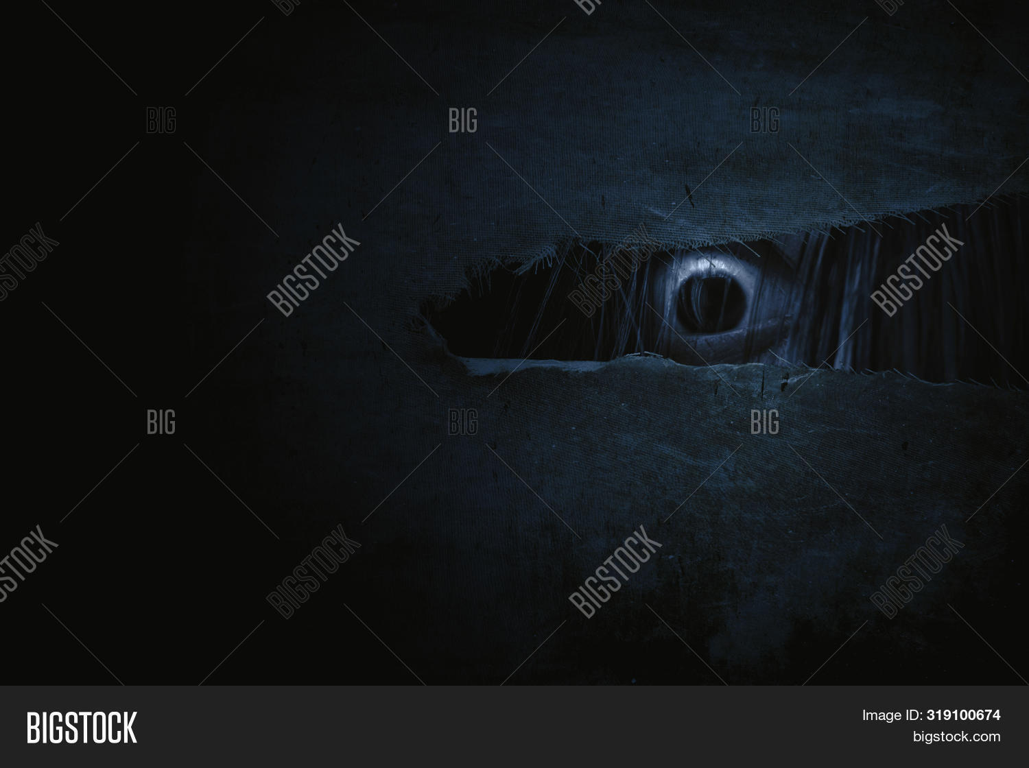 Scary Ghost Woman Eye Image & Photo (Free Trial) | Bigstock