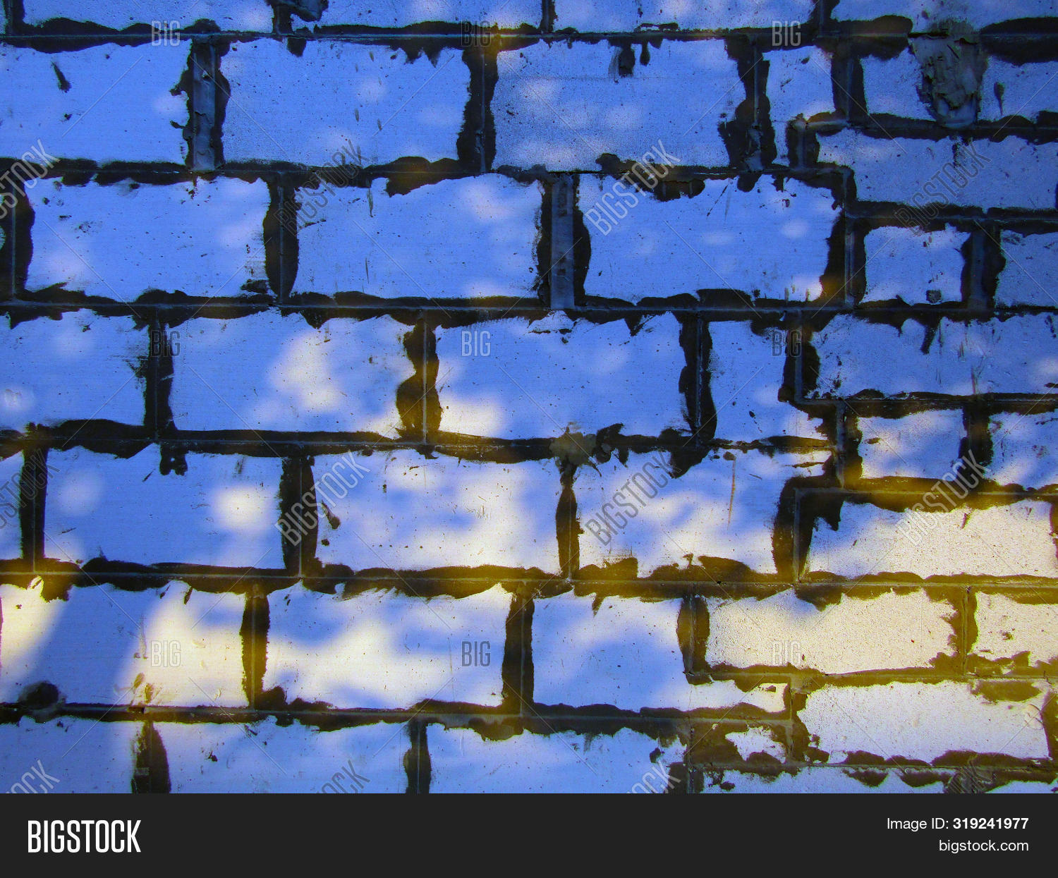Texture. Wall Foam Image & Photo (Free Trial) | Bigstock