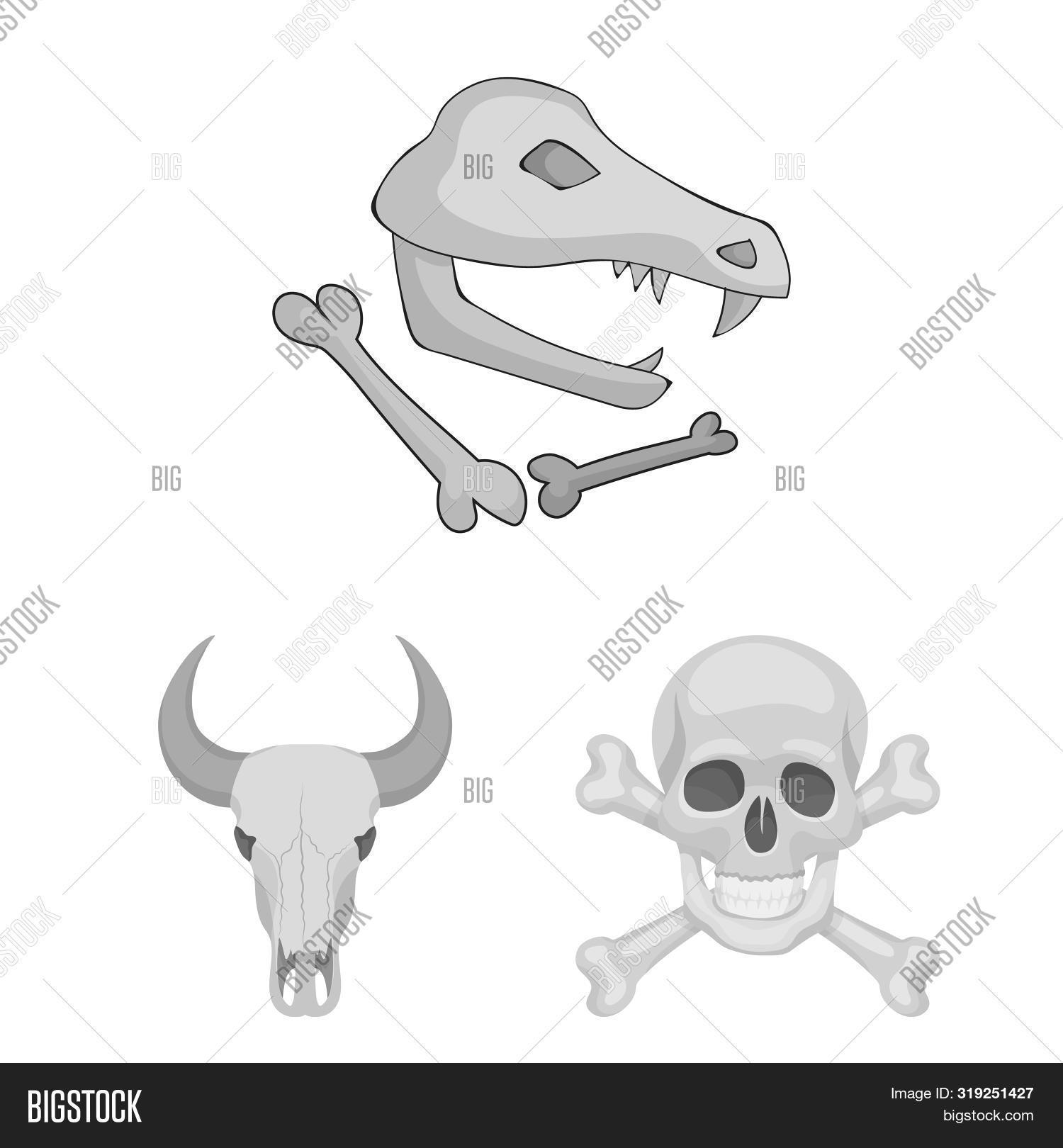 Bitmap Design Skeleton Image & Photo (Free Trial) | Bigstock
