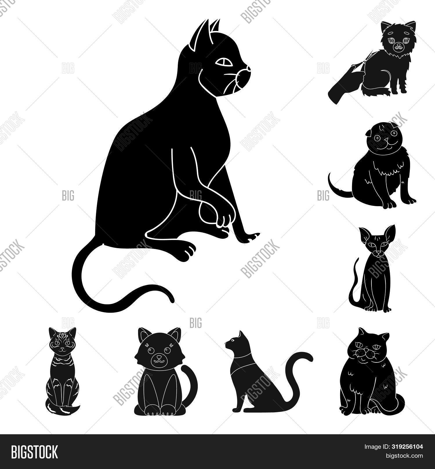 Bitmap Design Pet Image & Photo (Free Trial) | Bigstock