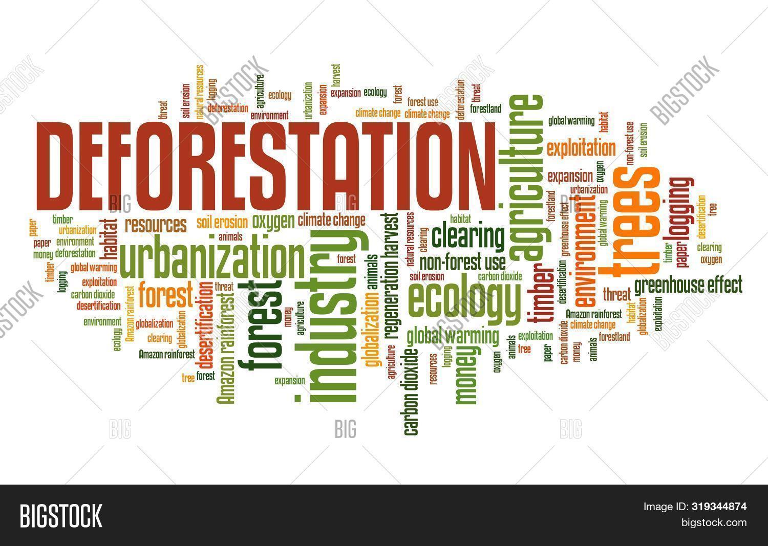 Deforestation Word Image & Photo (Free Trial) | Bigstock