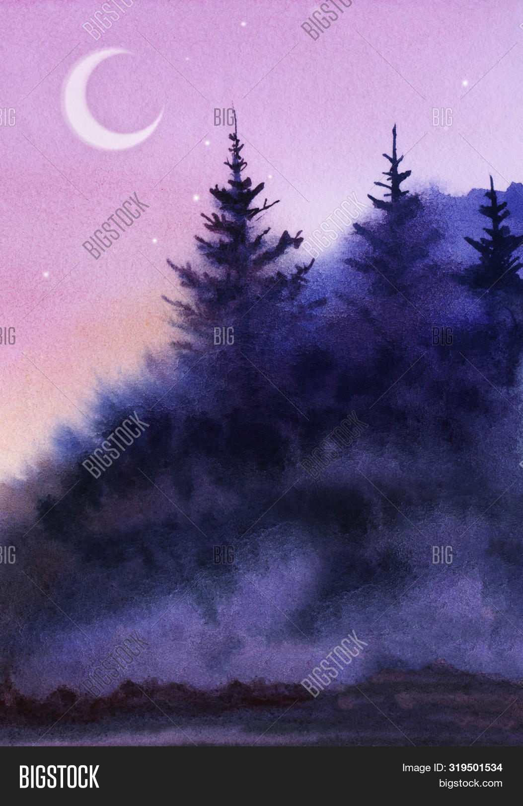 Early Evening Sky In Woods