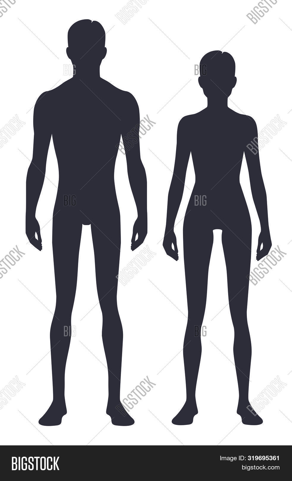 Male Female Body Image & Photo (Free Trial) | Bigstock