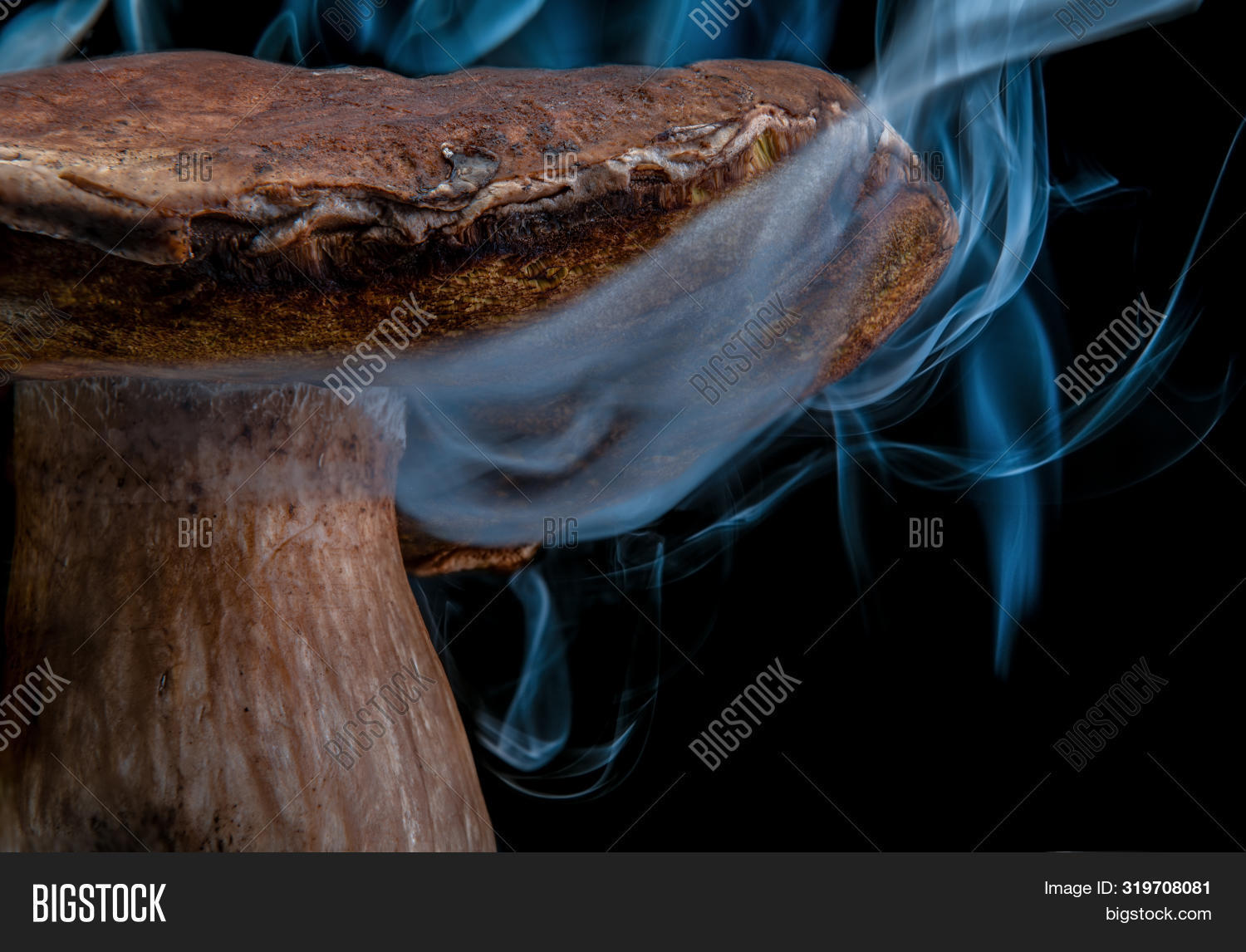 Сlose- Mushroom Smoke Image & Photo (Free Trial) | Bigstock