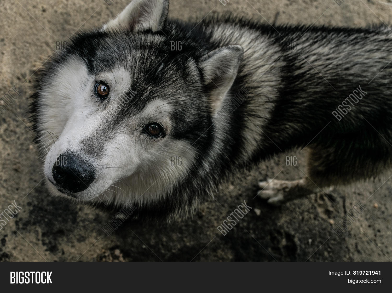 Downwards Perspective Image & Photo (Free Trial) | Bigstock