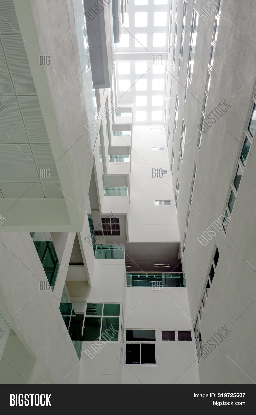 Looking Daylight Image & Photo (Free Trial) | Bigstock