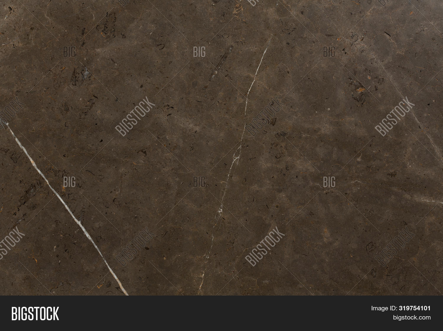 Dark Brown Marble Image & Photo (Free Trial) | Bigstock