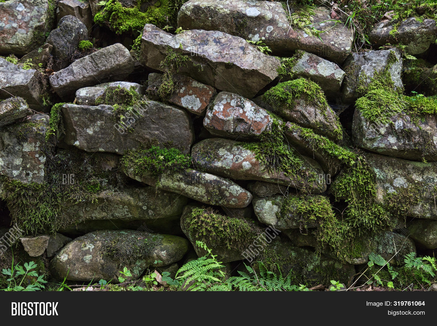 Old Stones Moss Green Image & Photo (Free Trial) | Bigstock