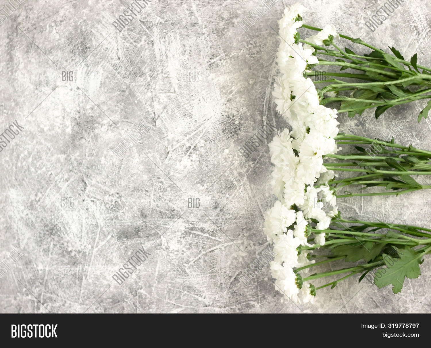 Greeting Card Frame Image & Photo (Free Trial) | Bigstock