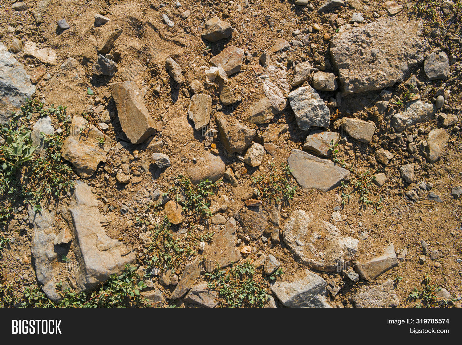 Dry Soil Texture Image & Photo (Free Trial) | Bigstock