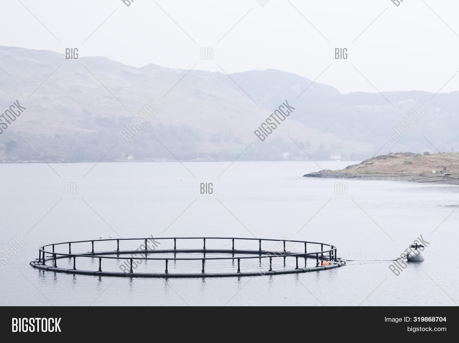 Fish Farm Salmon Nets Image & Photo (Free Trial) | Bigstock
