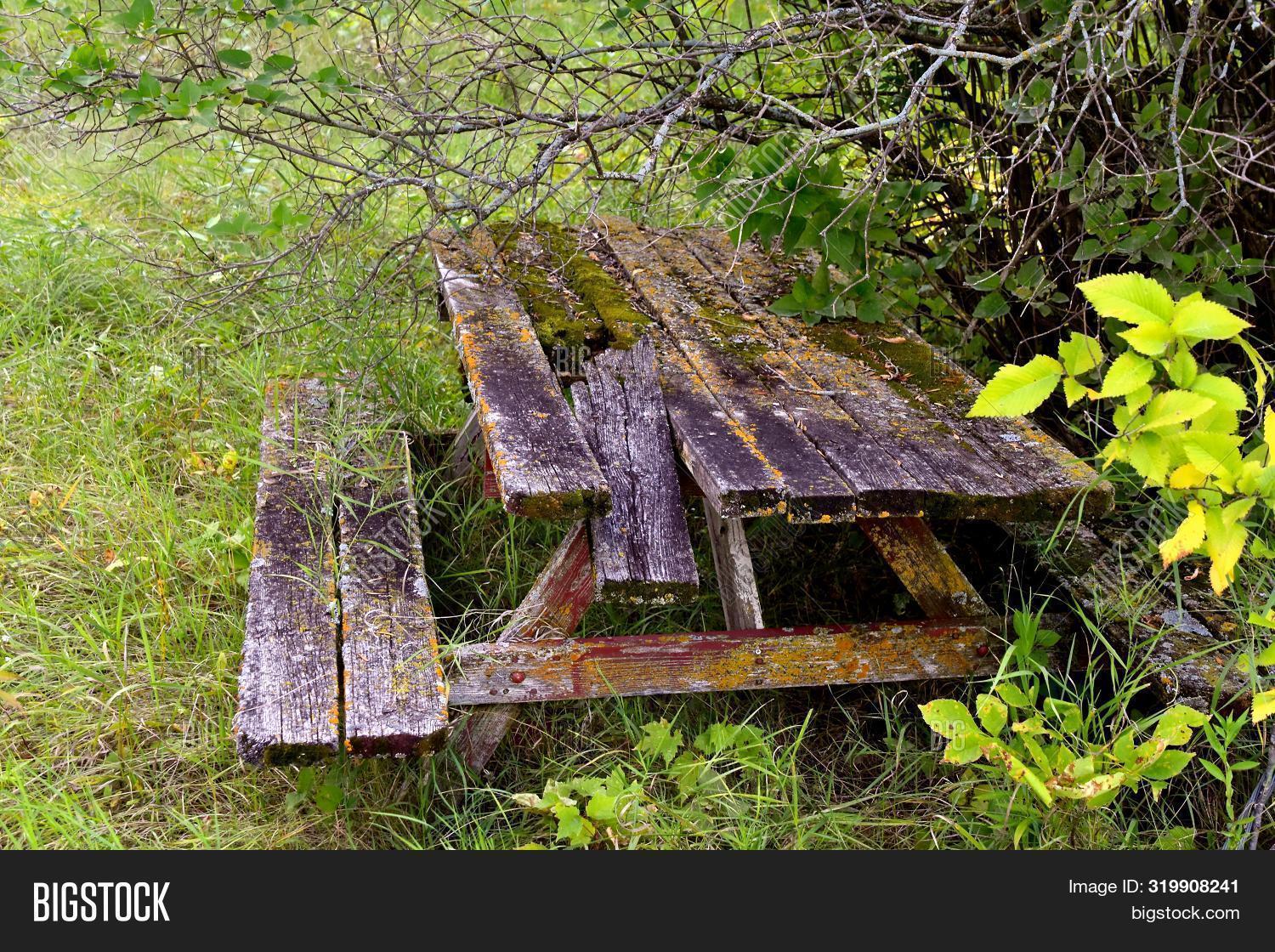 Old Rotting Picnic Image & Photo (Free Trial) | Bigstock