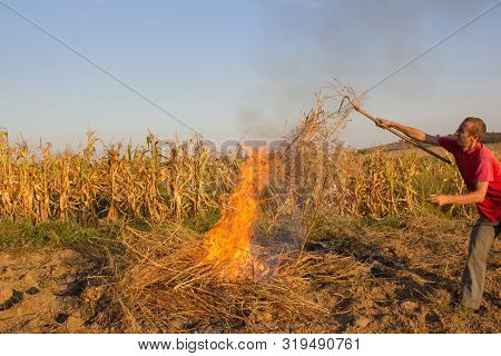 Man Burning Dry Grass Image & Photo (Free Trial) | Bigstock