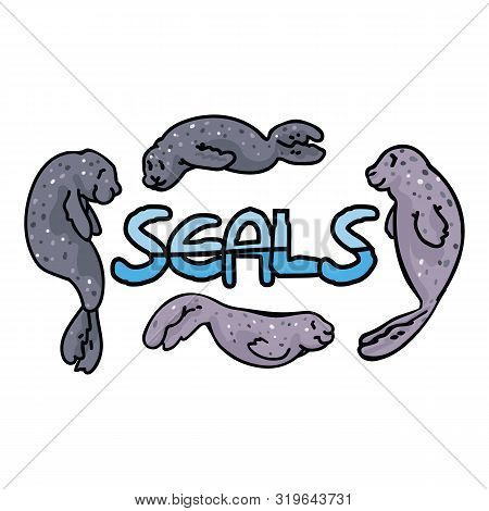 Cute Seal Typography Vector & Photo (Free Trial) | Bigstock