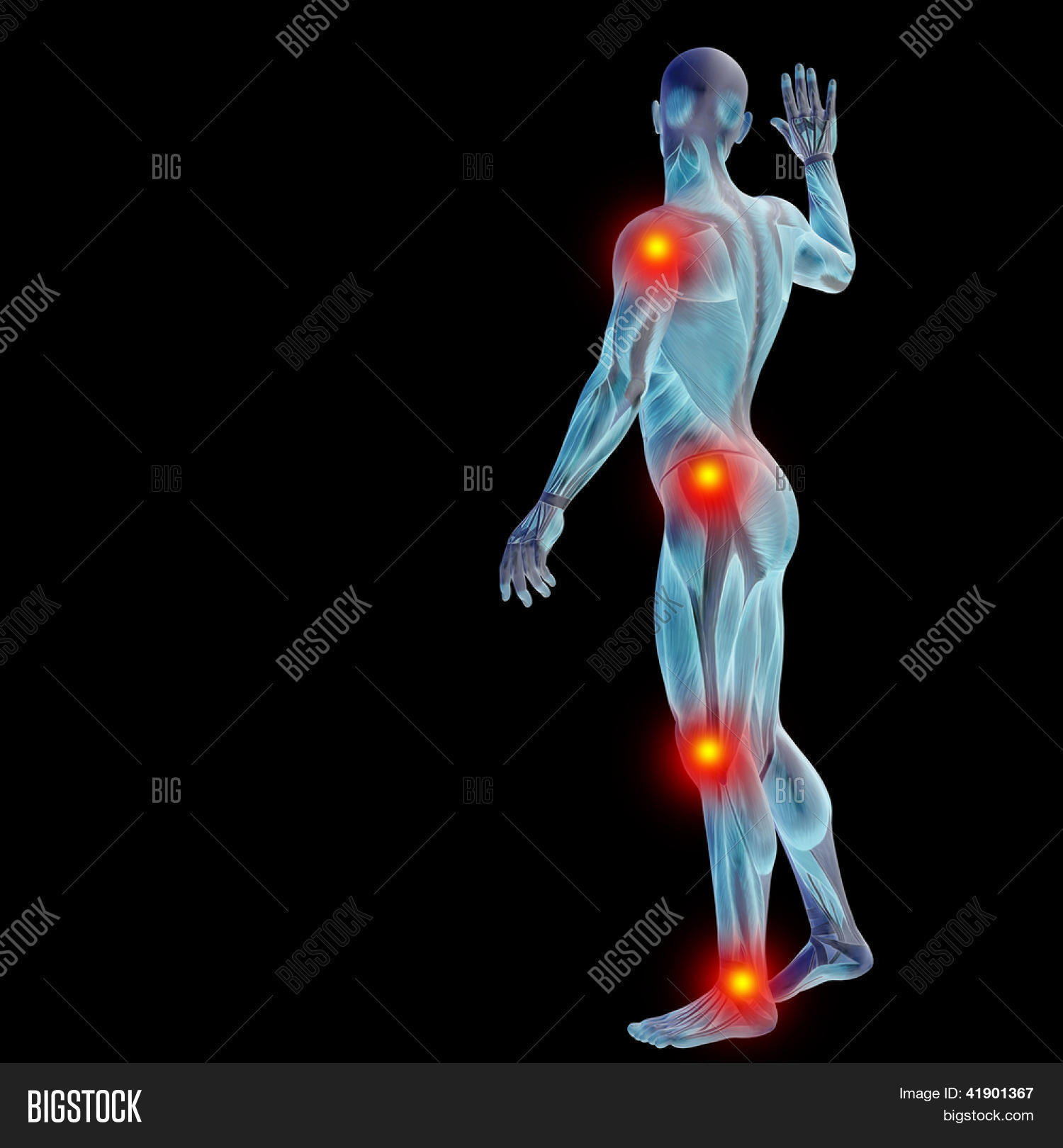 3D Human Man Muscles Image & Photo (Free Trial) | Bigstock