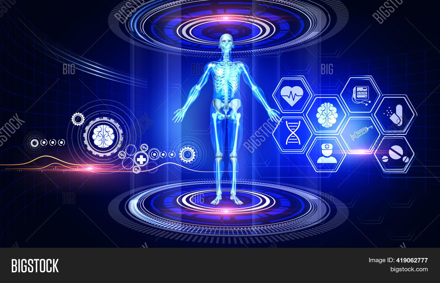 Skelton Analysis Image & Photo (Free Trial) | Bigstock