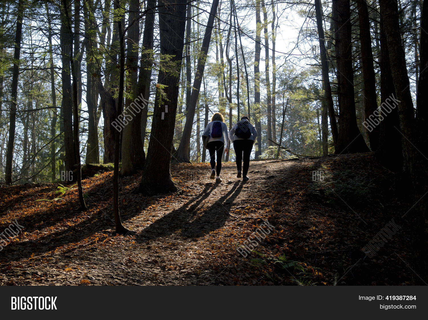 Couple Walking Trail Image & Photo (Free Trial) | Bigstock