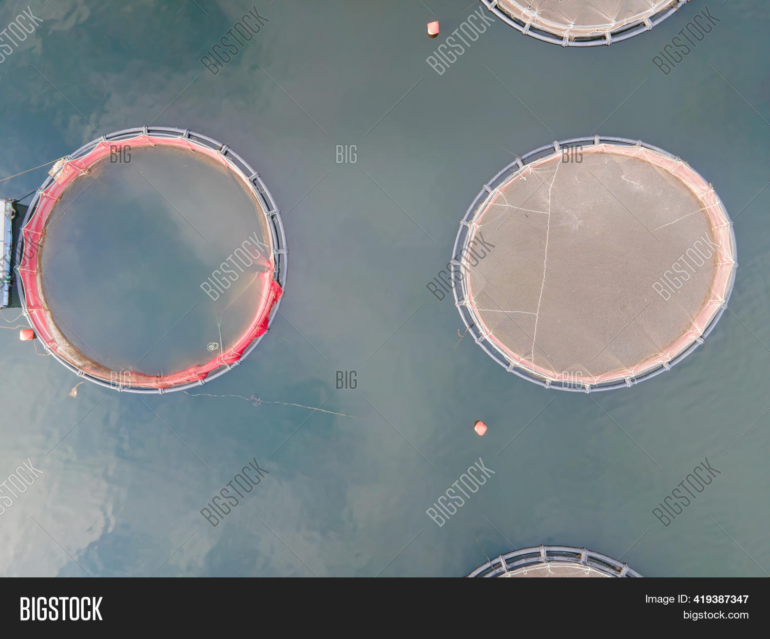 Aerial Top Down View Image & Photo (Free Trial) | Bigstock