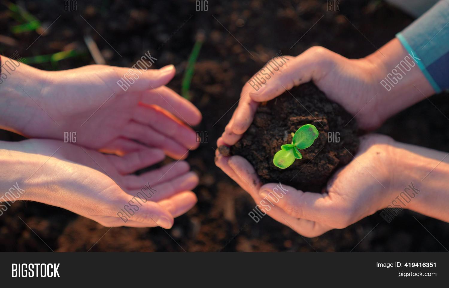 Agriculture Teamwork. Image & Photo (Free Trial) | Bigstock