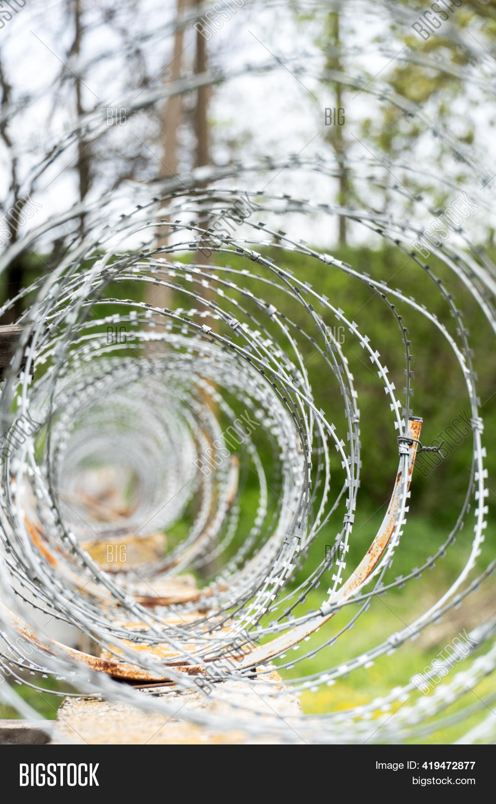 Round Barbed Wire. Image & Photo (Free Trial) | Bigstock