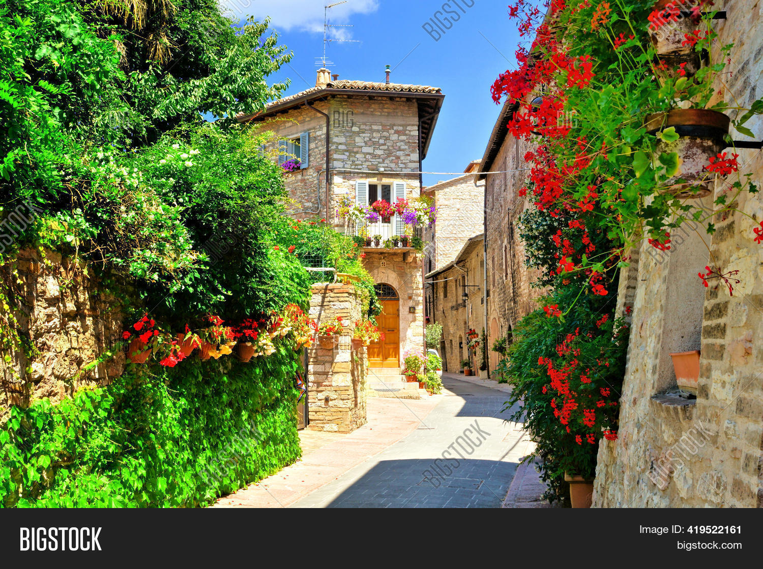 Flower Filled Medieval Image & Photo (Free Trial) | Bigstock