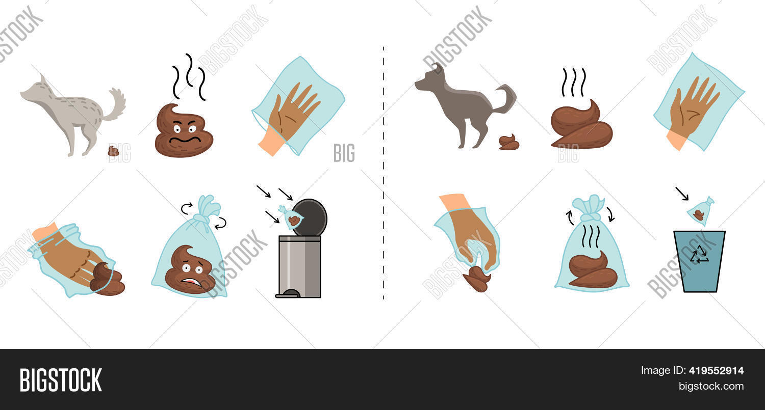 Dog Poo Clean Steps Image & Photo (Free Trial) | Bigstock