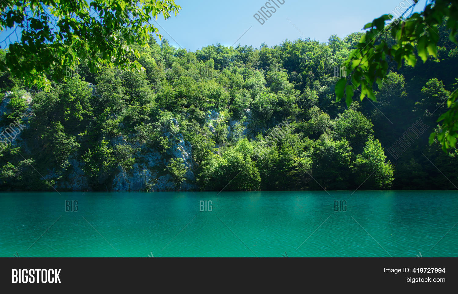 Reflection Overgrown Image & Photo (Free Trial) | Bigstock