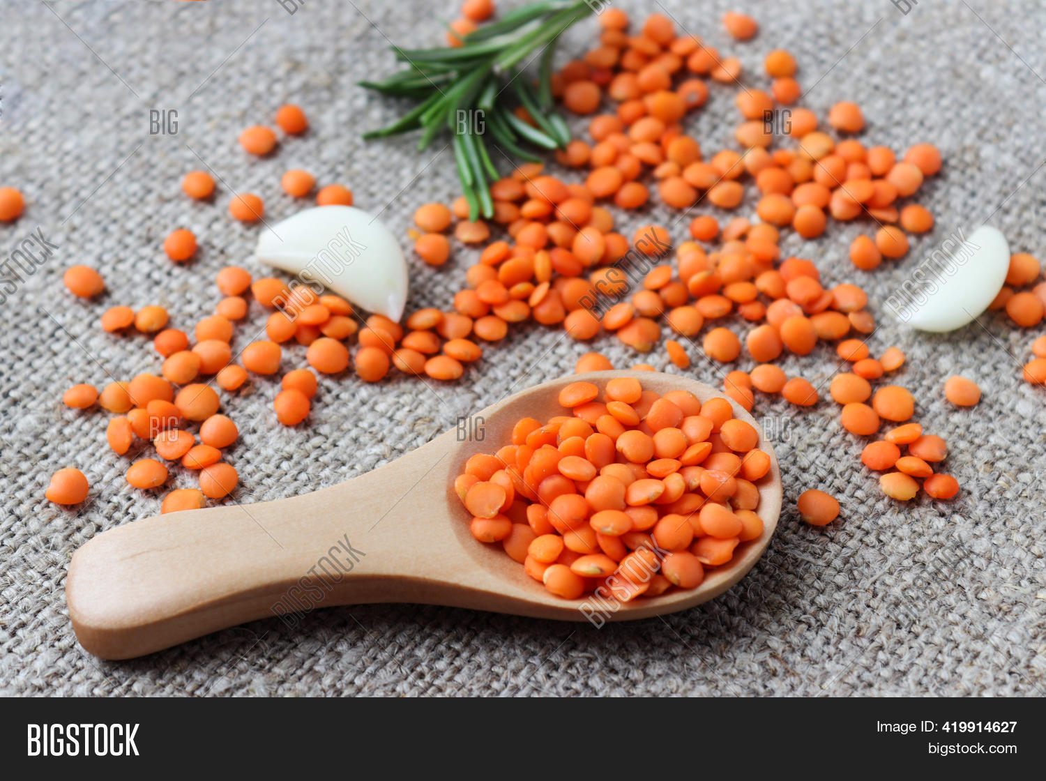 Red Uncooked Lentils Image & Photo (Free Trial) | Bigstock