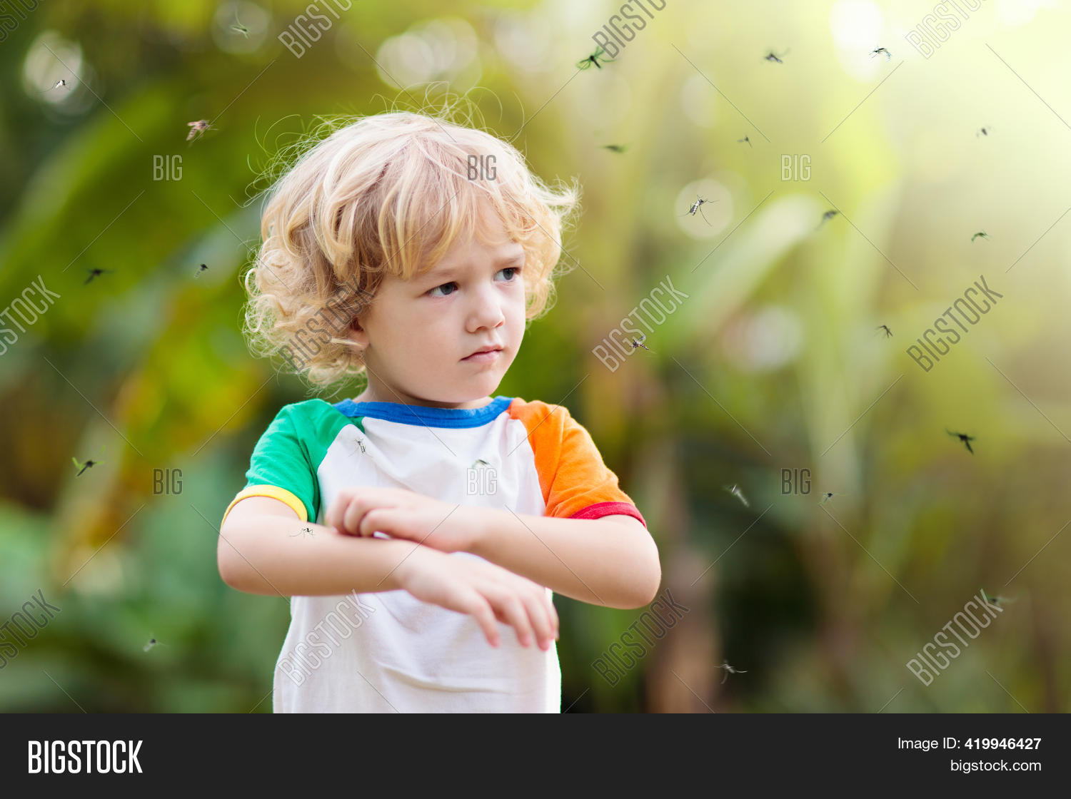 Mosquito On Kids Skin Image & Photo (Free Trial) | Bigstock