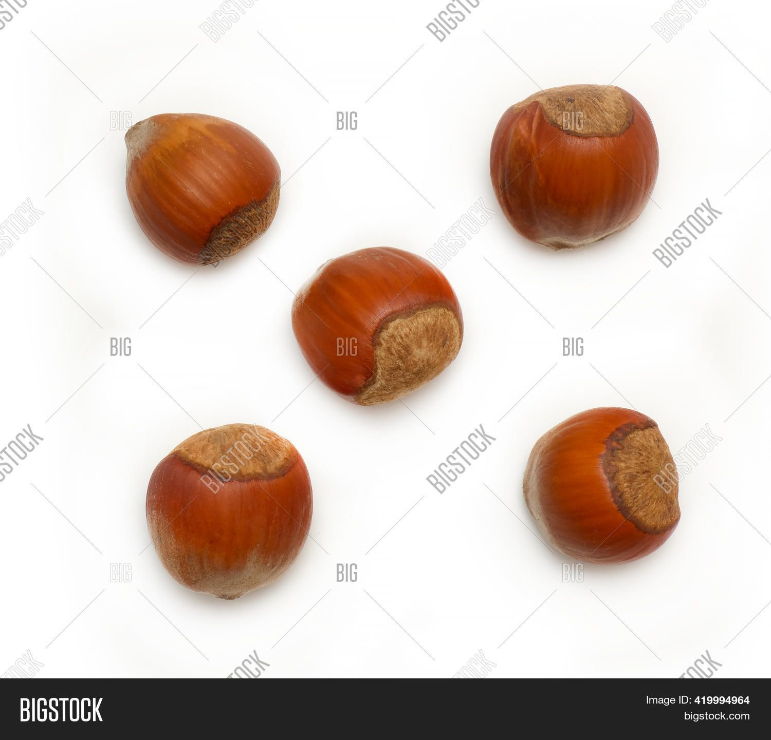 Hazelnut Top View Image & Photo (Free Trial) | Bigstock