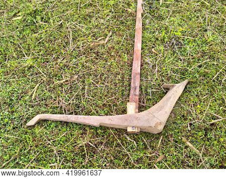 Cow Plough Images, Illustrations & Vectors (Free) - Bigstock