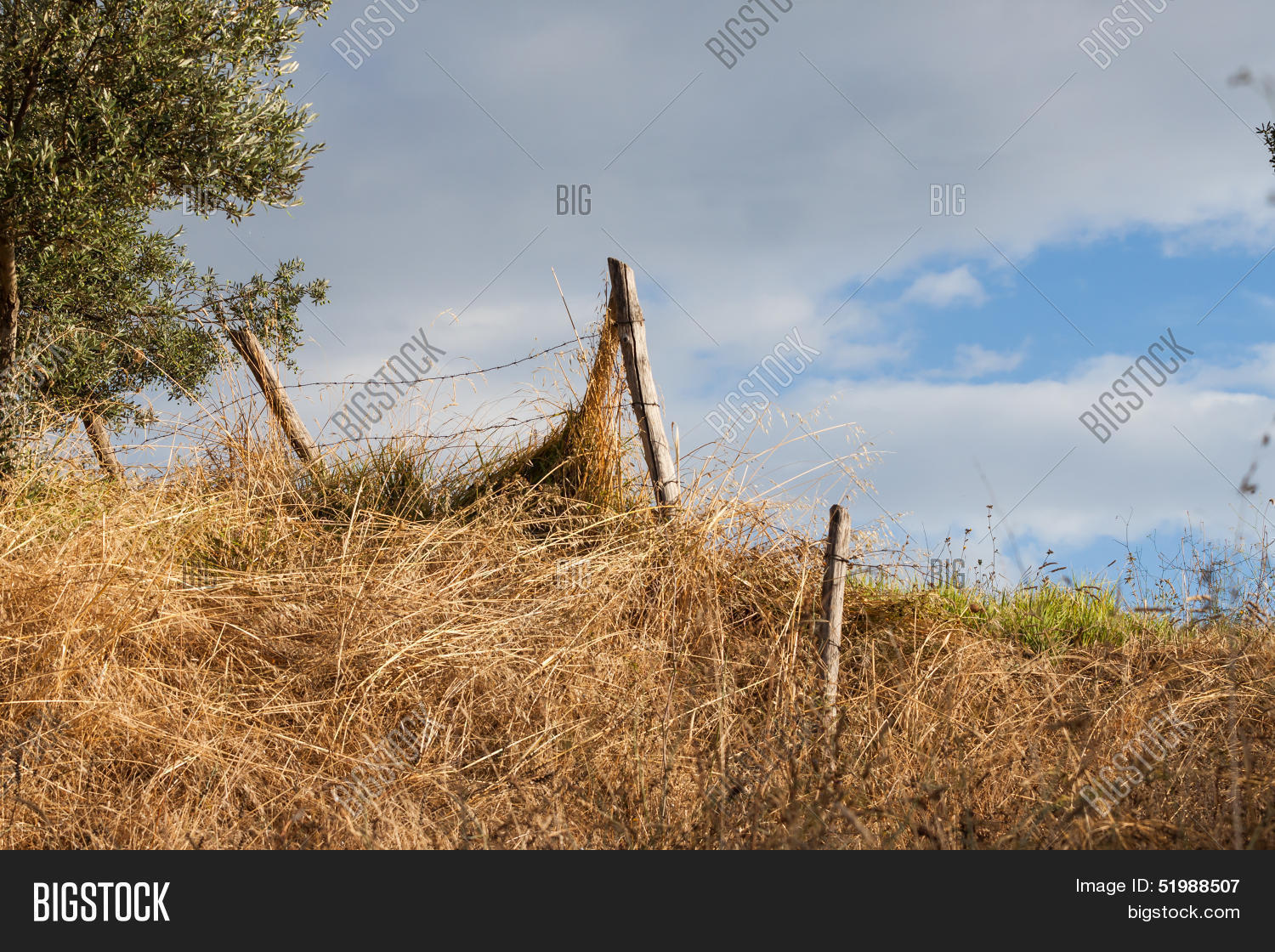 Fence Posts Italian Image & Photo (Free Trial) | Bigstock