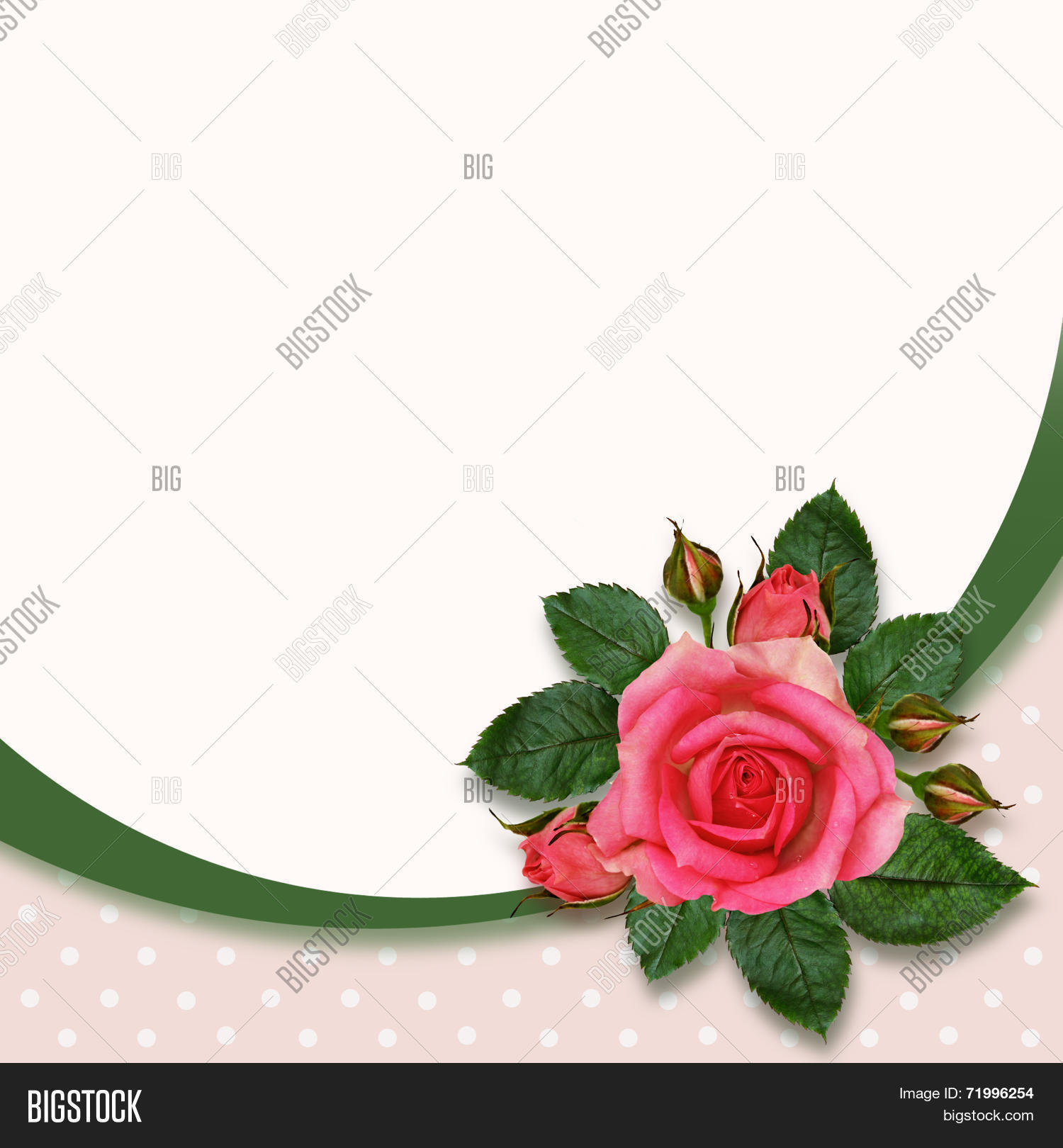 Rose Flowers Frame Image & Photo (Free Trial) | Bigstock