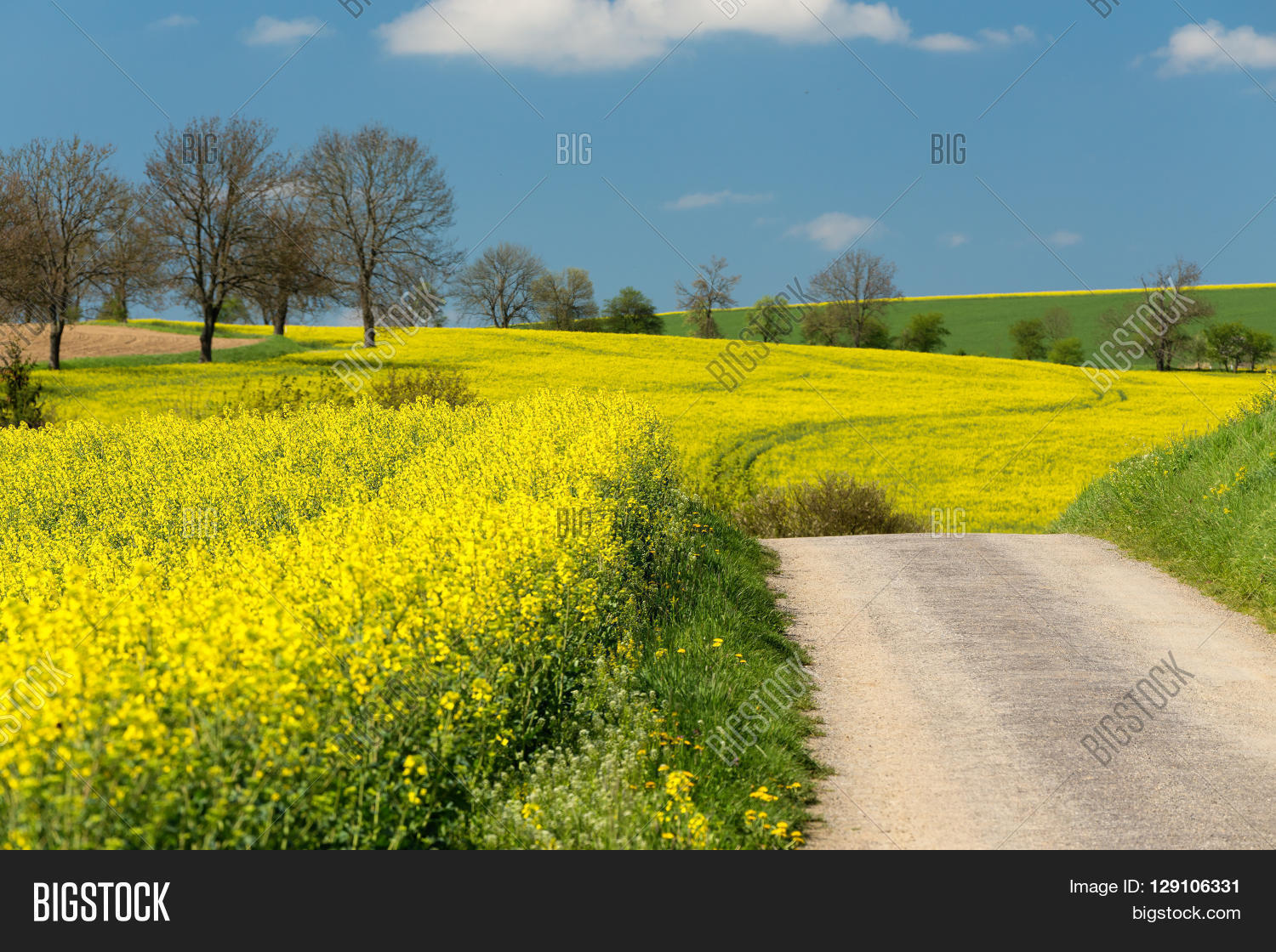 Beautiful Summer Rural Image & Photo (Free Trial) | Bigstock