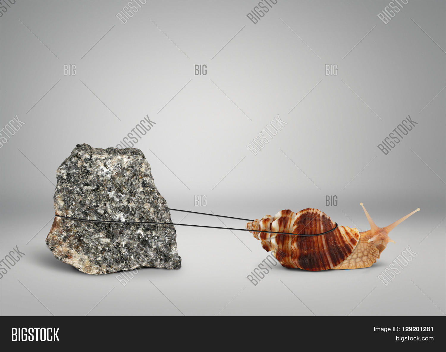 Snail Pulling Big Image & Photo (Free Trial) | Bigstock