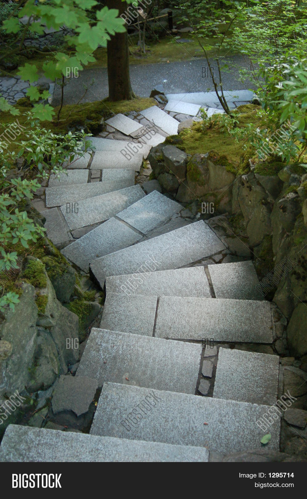 Japanese Garden Image & Photo (Free Trial) | Bigstock
