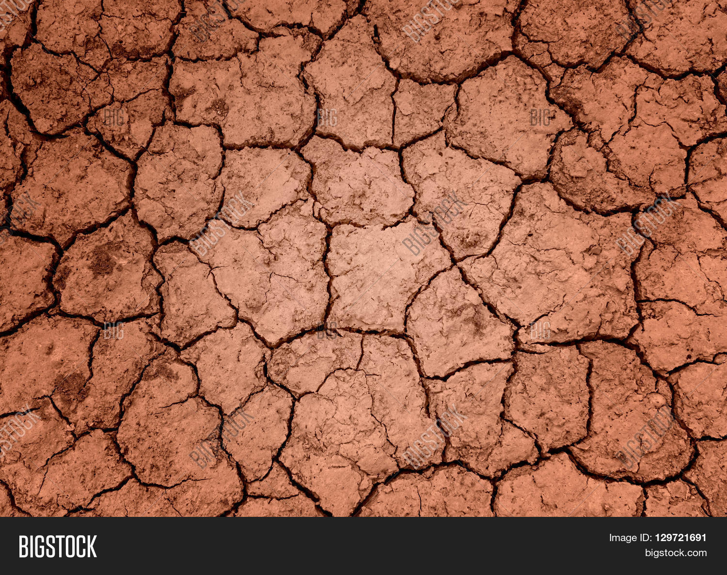 Ground Parched Dry Image & Photo (Free Trial) | Bigstock