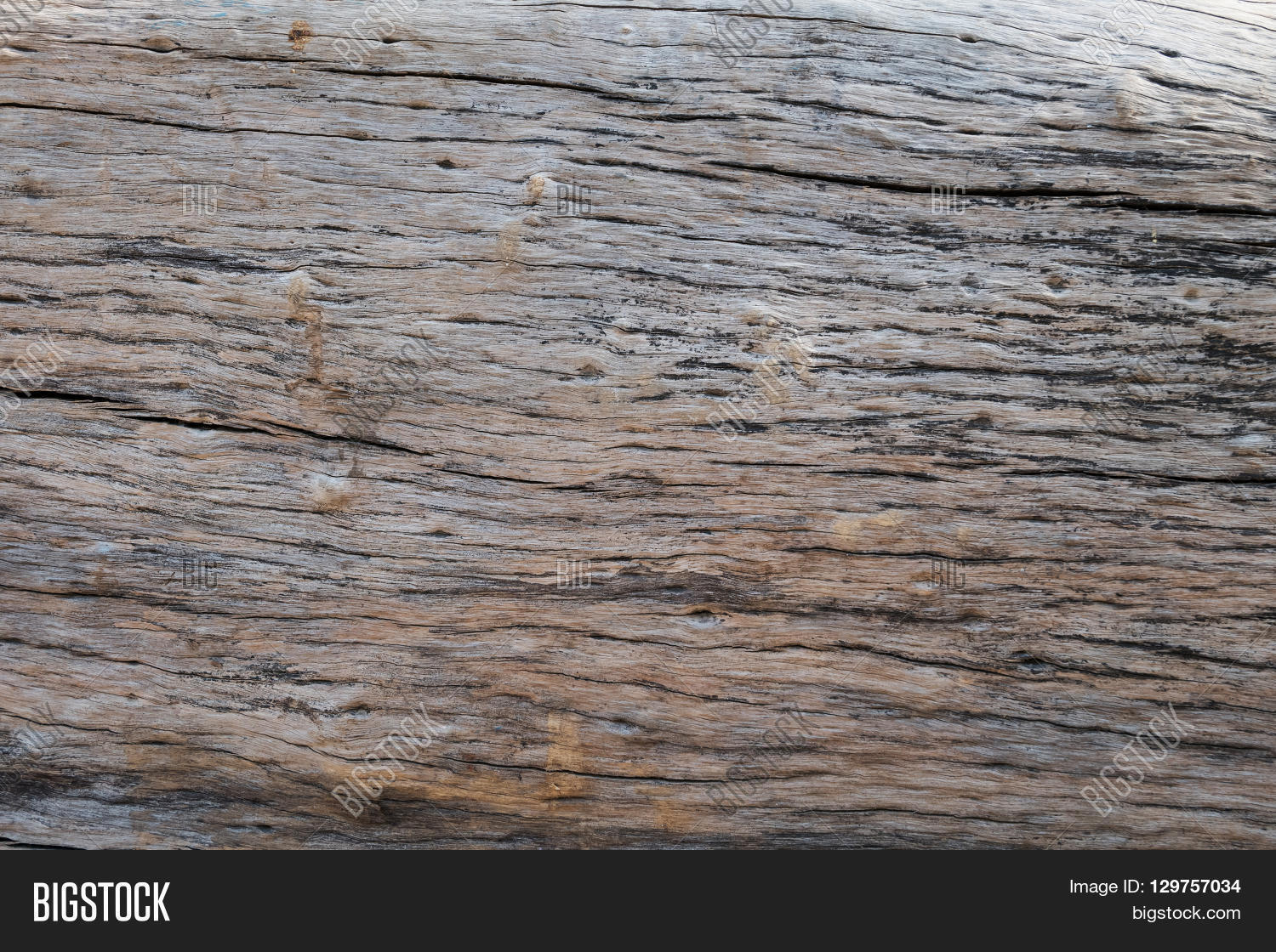 Dry Skin Wood Texture Image & Photo (Free Trial) | Bigstock