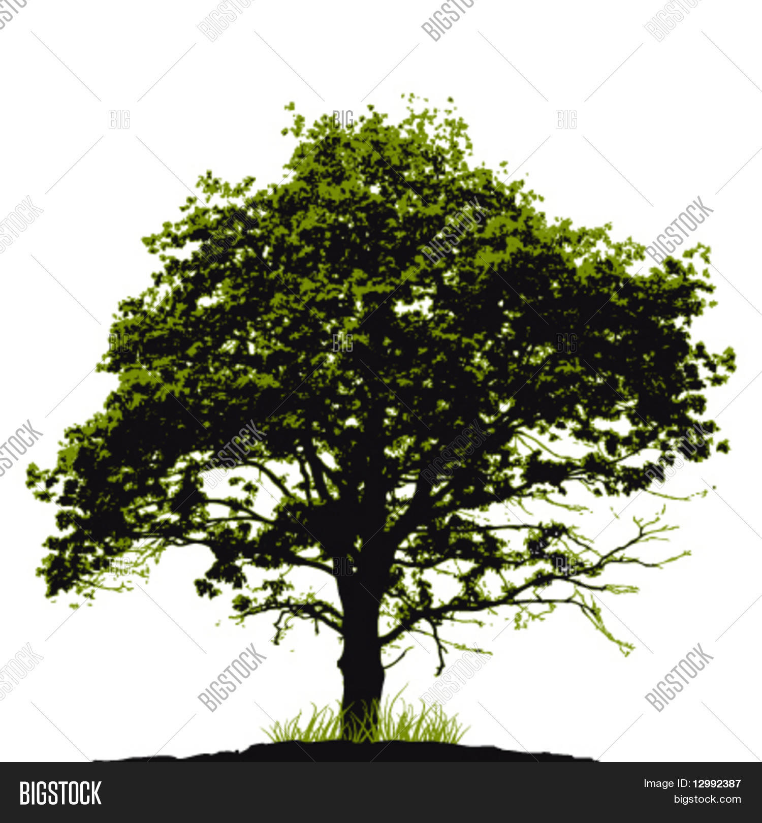 Vector Tree Vector & Photo (Free Trial) | Bigstock